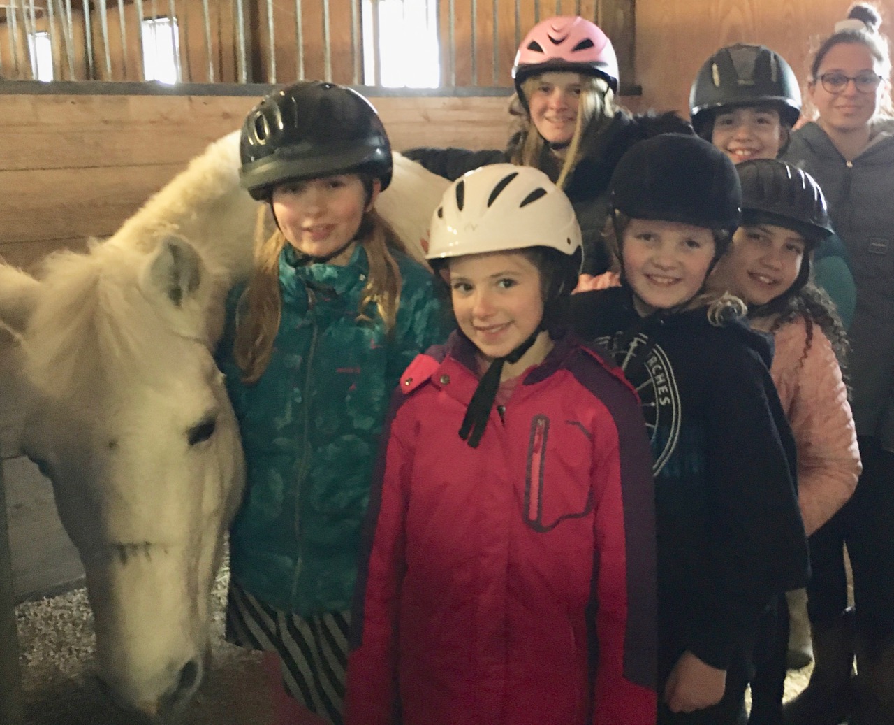 DS Club - Delaney Stables